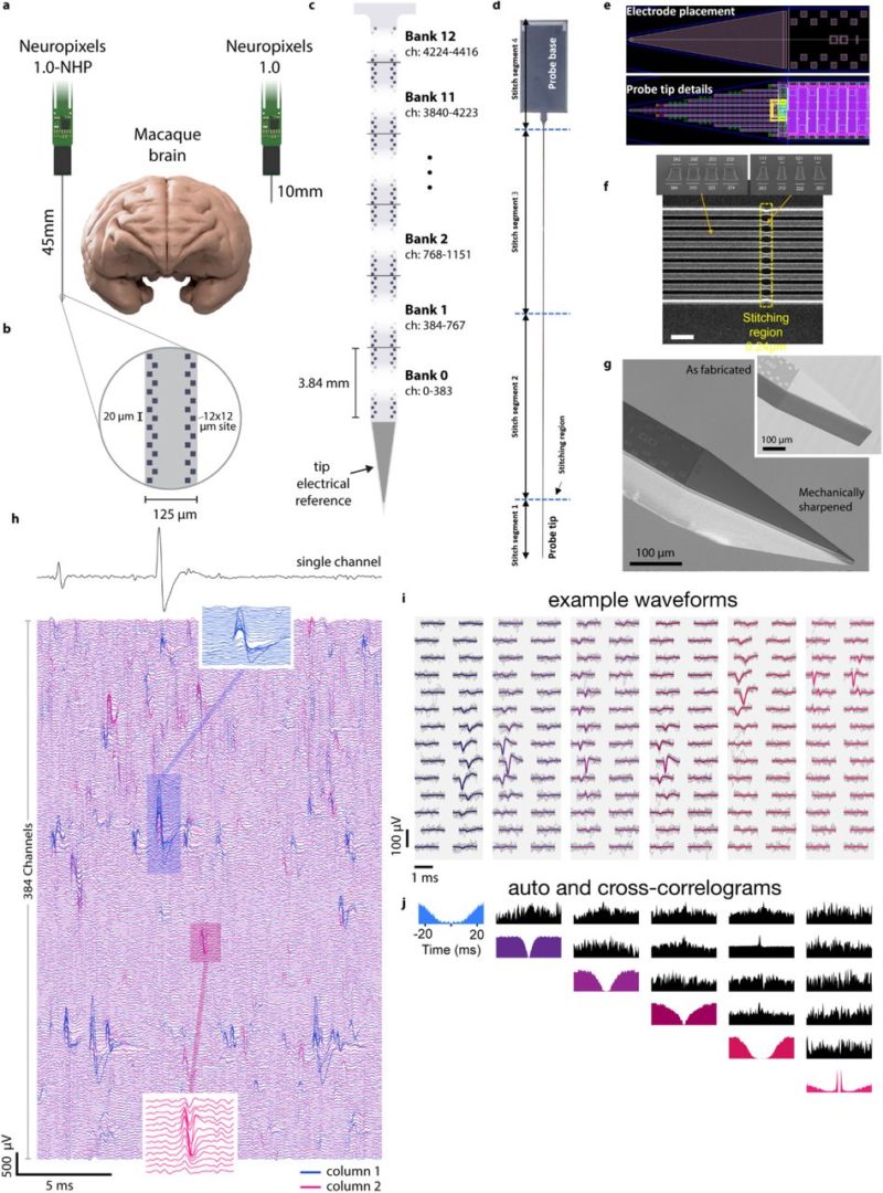 Neuropixels NHP电极 - 长擎科技