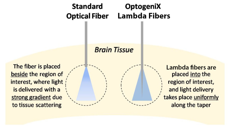 Lambda 光纤 - 长擎科技